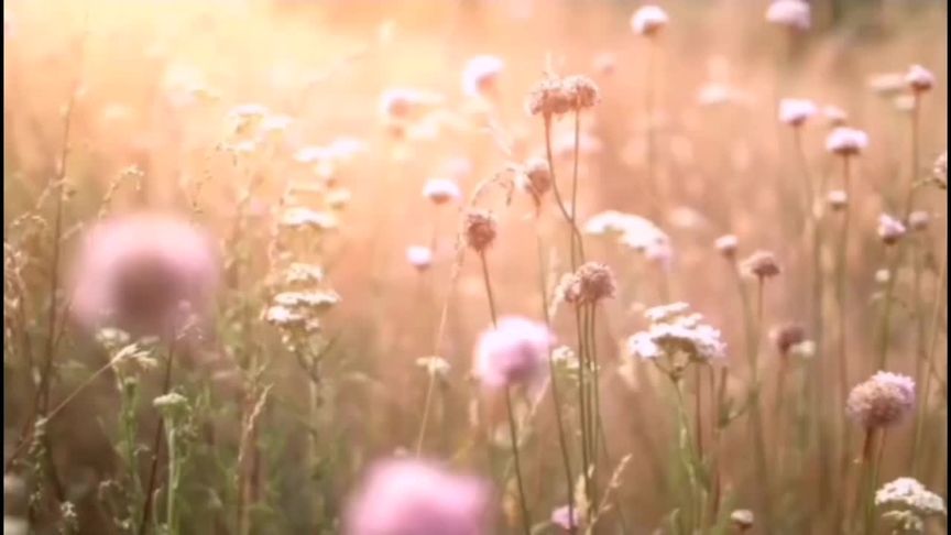 #世界手卫生日 #手卫生宣传活动 明天是5月5日世界手卫生日