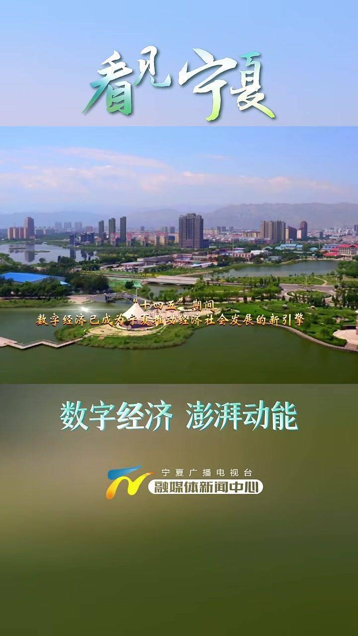 看见宁夏丨数字经济澎湃动能!#宁夏#数字经济“十四五”以来,宁夏...