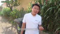 儿时的经典游戏之弹弹珠,经常玩到忘记吃饭,你还记得吗
