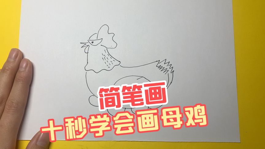 简笔画教程:十秒学会画母鸡