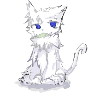 LeafCat_Official 