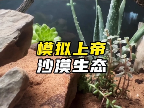 上帝模拟器:用300天的时间打造一个巨型沙漠生态系统