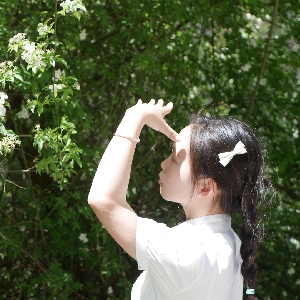 好看的叶子- 