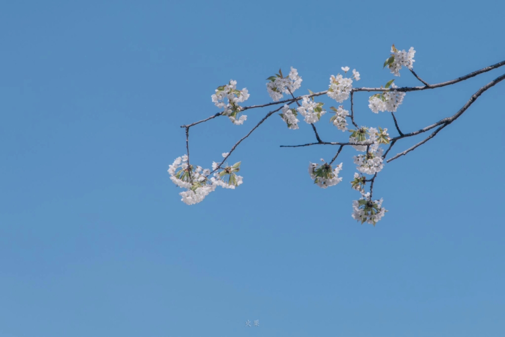 【音乐分享03】你不要担心-钢琴曲|导演小策的微电影配乐