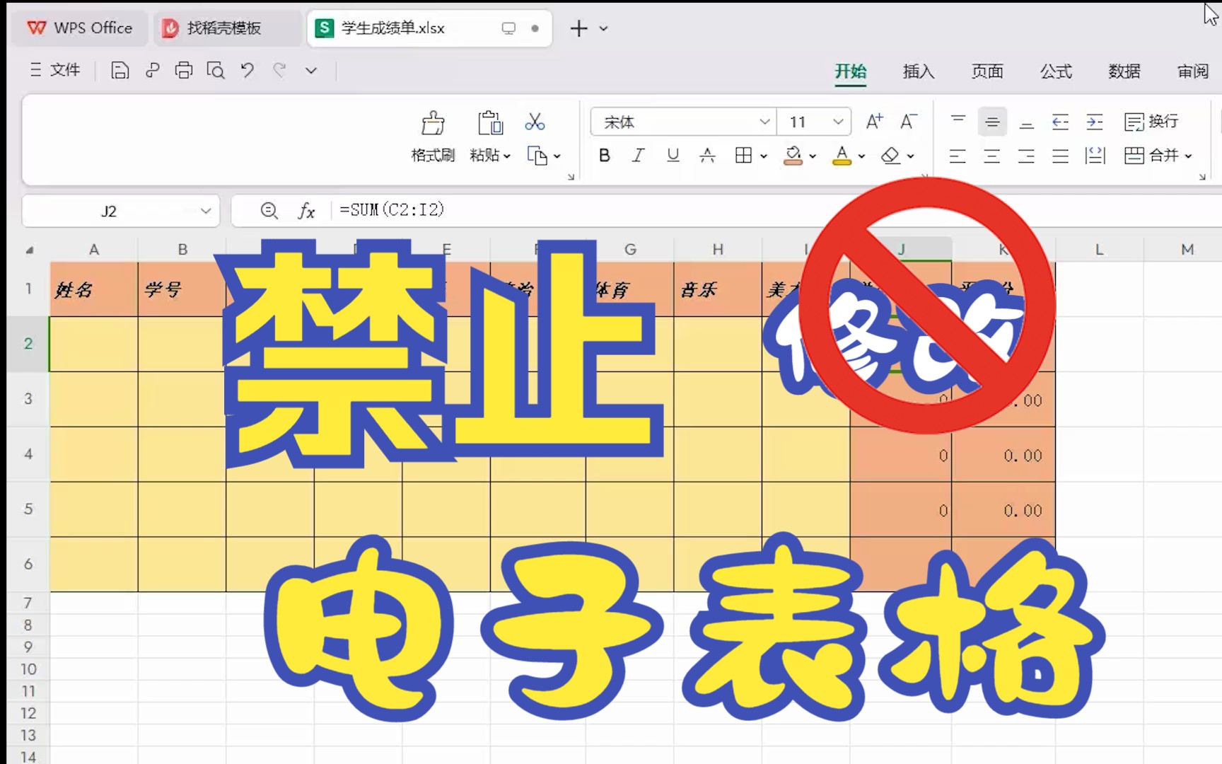 禁止修改电子表格,WPS电子表格小技巧