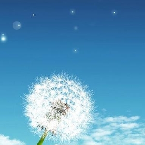 人生几件事之123 