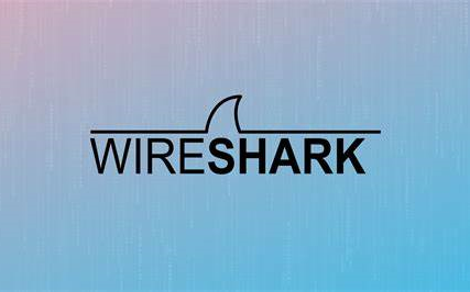 《Wireshark从入门到精通》抓包协议分析必备【超全】