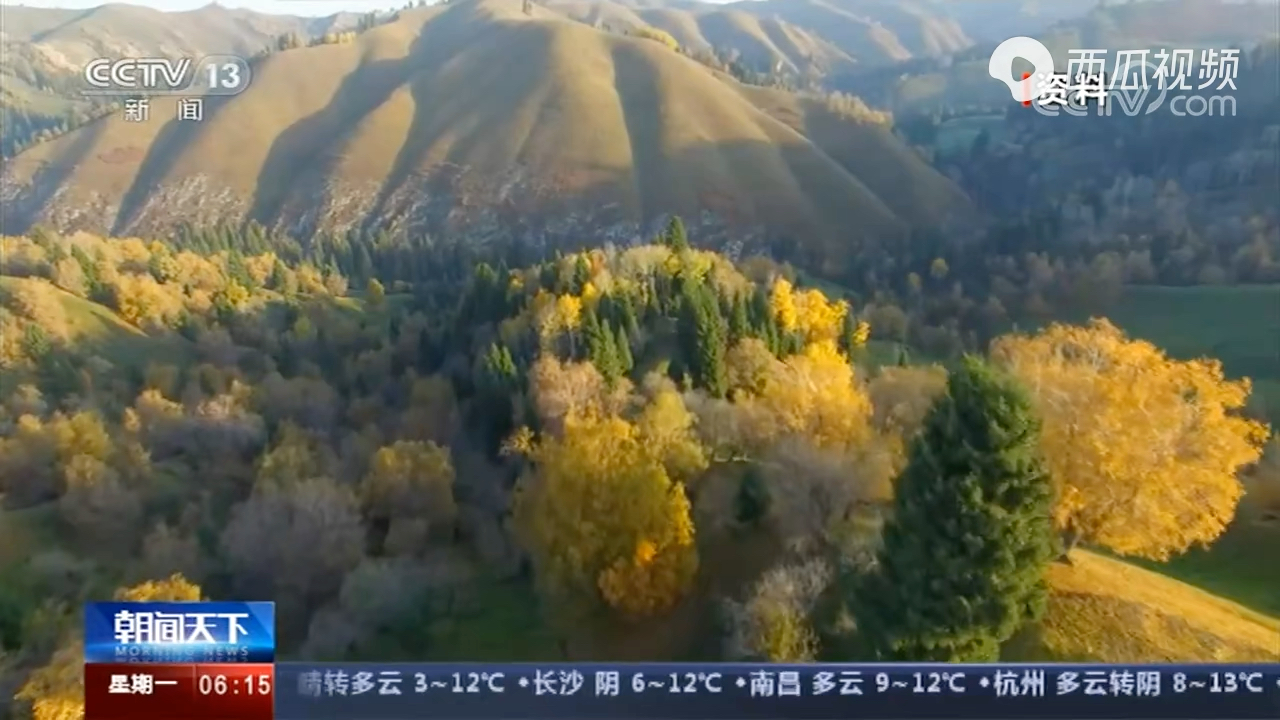 BBC称研究显示:中国植树造林的作用被严重低估