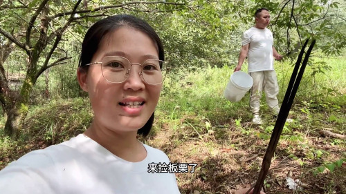 夫妻俩进山捡板栗,大个的板栗一个接一个,捡的舍不得走了