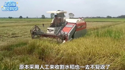 神奇水稻收割机收割能力强悍!它究竟如何工作?带你揭秘!