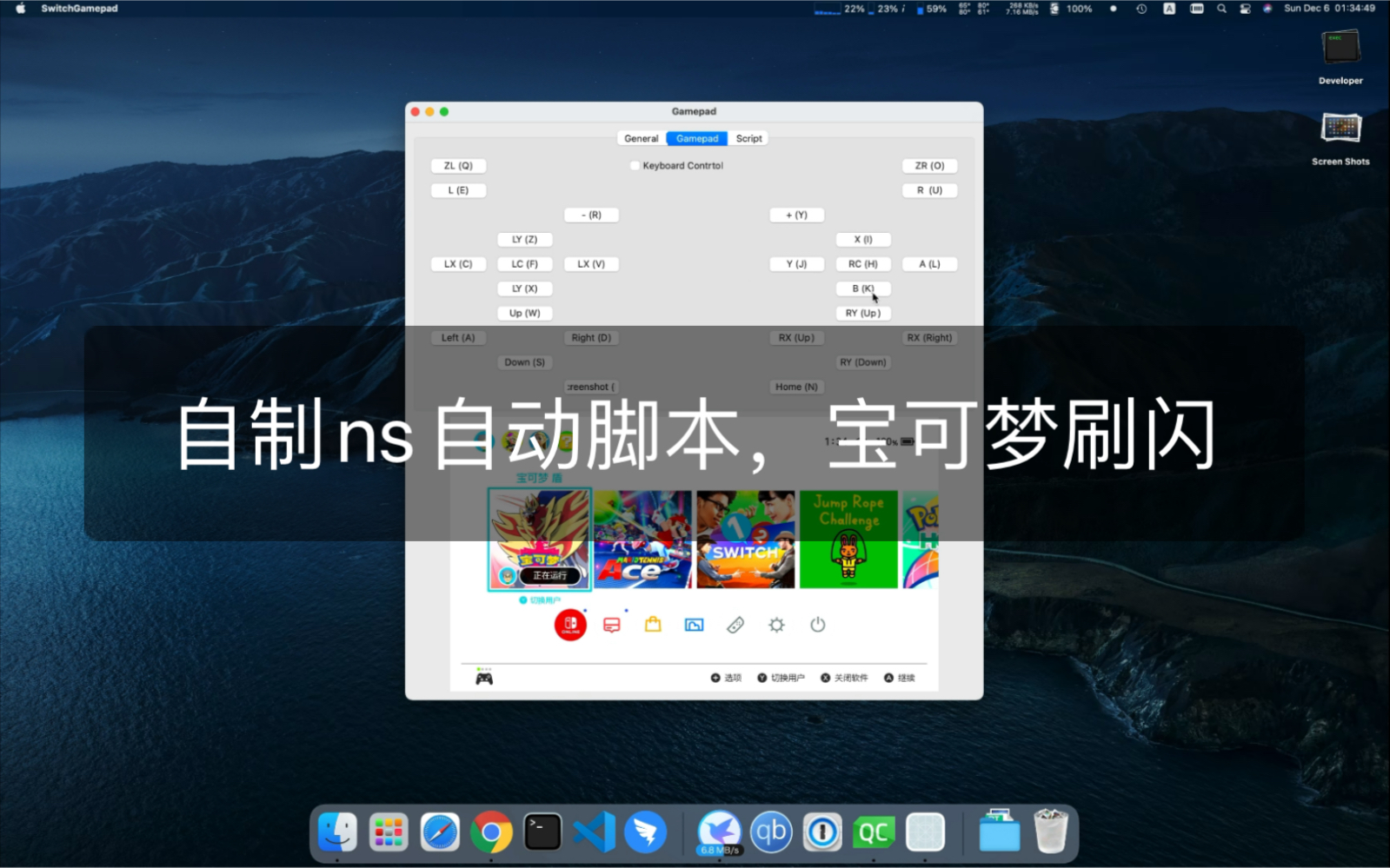 自制ns自动脚本工具,宝可梦剑盾刷闪孵蛋