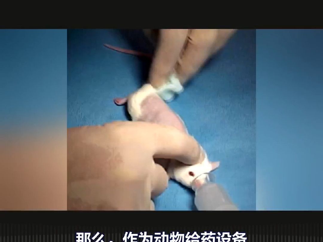 你知道alzet渗透泵的多少钱吗?