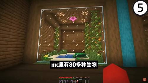 删除mc前,来看看这些,你都做了吗?vs现实世界