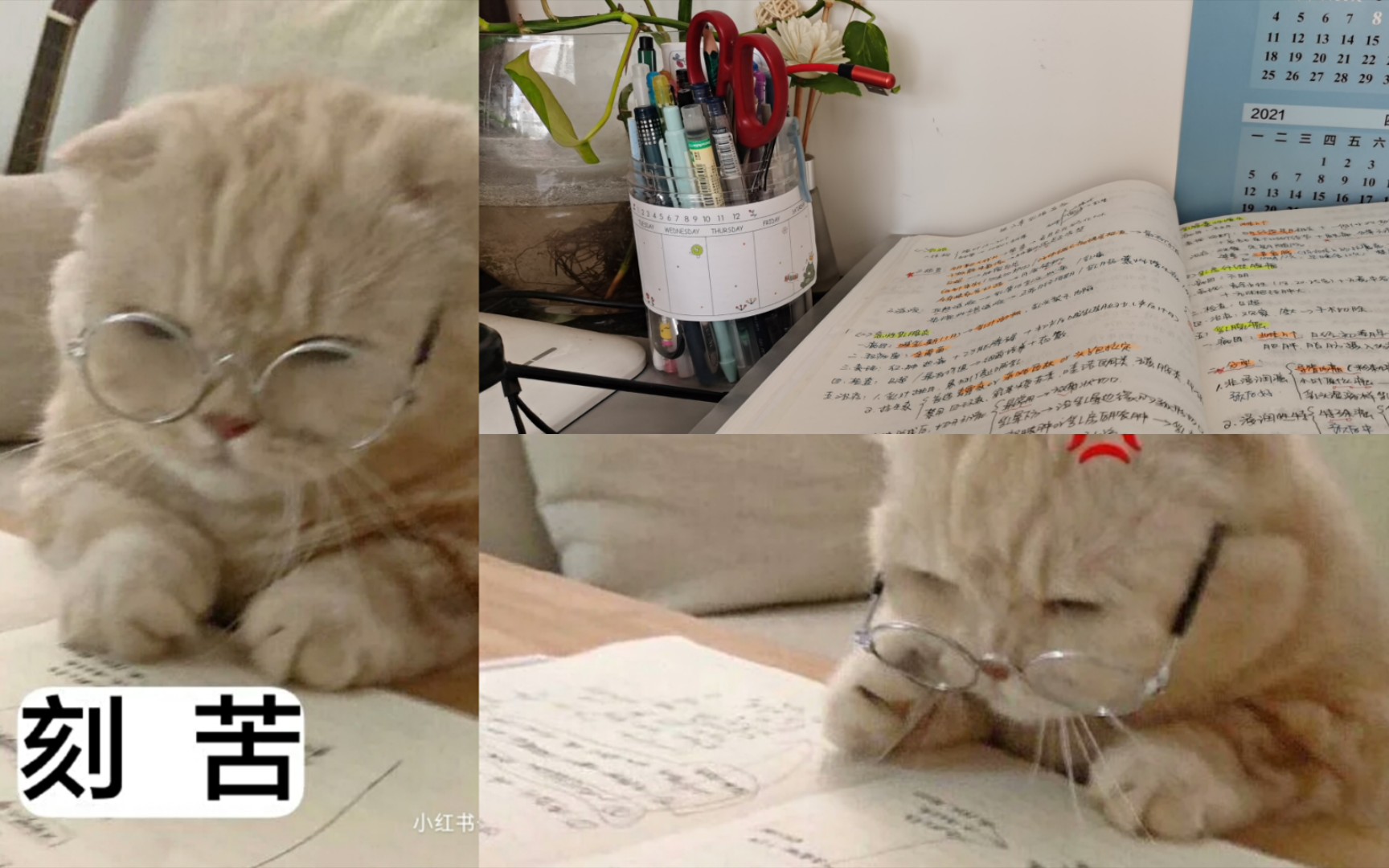 医学生一天学习记录,我们一起学习吧!