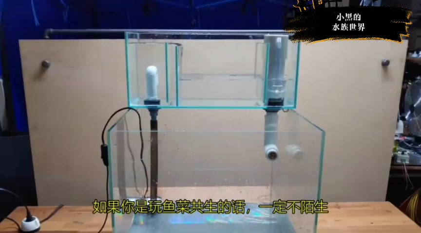 潮汐过滤最全教程,鱼缸一年不用换水