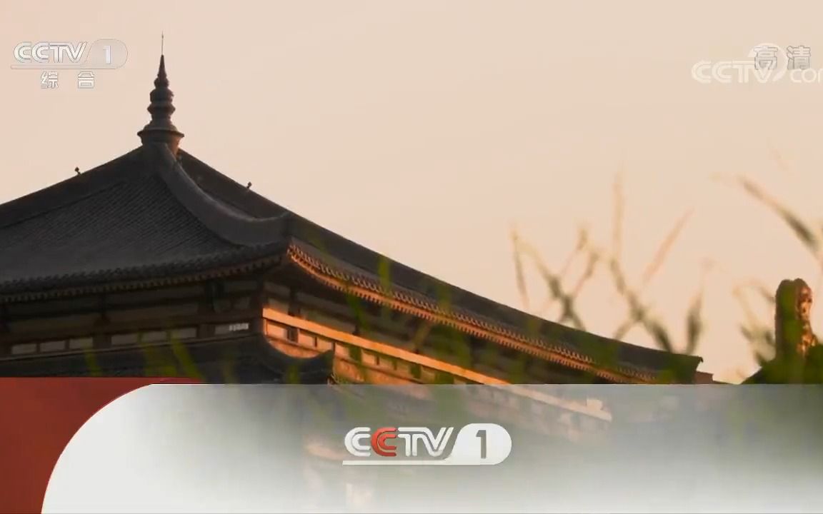 世界首例采用CAR-T疗法成功治愈晚期肝癌