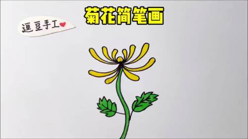 用5个括号画个简单又好看的菊花简笔画吧一学就会