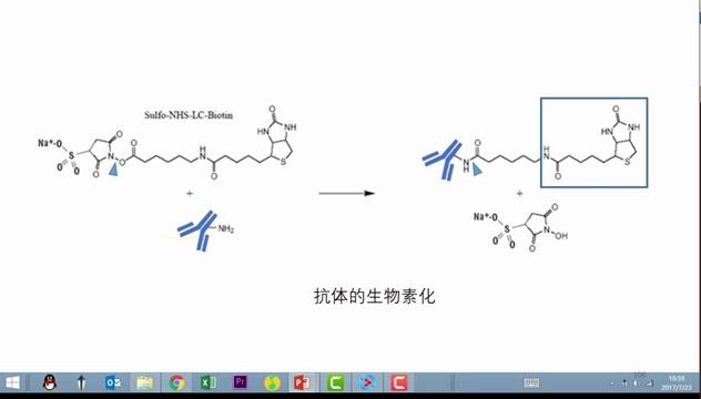 04讲 03节 抗体偶联标记