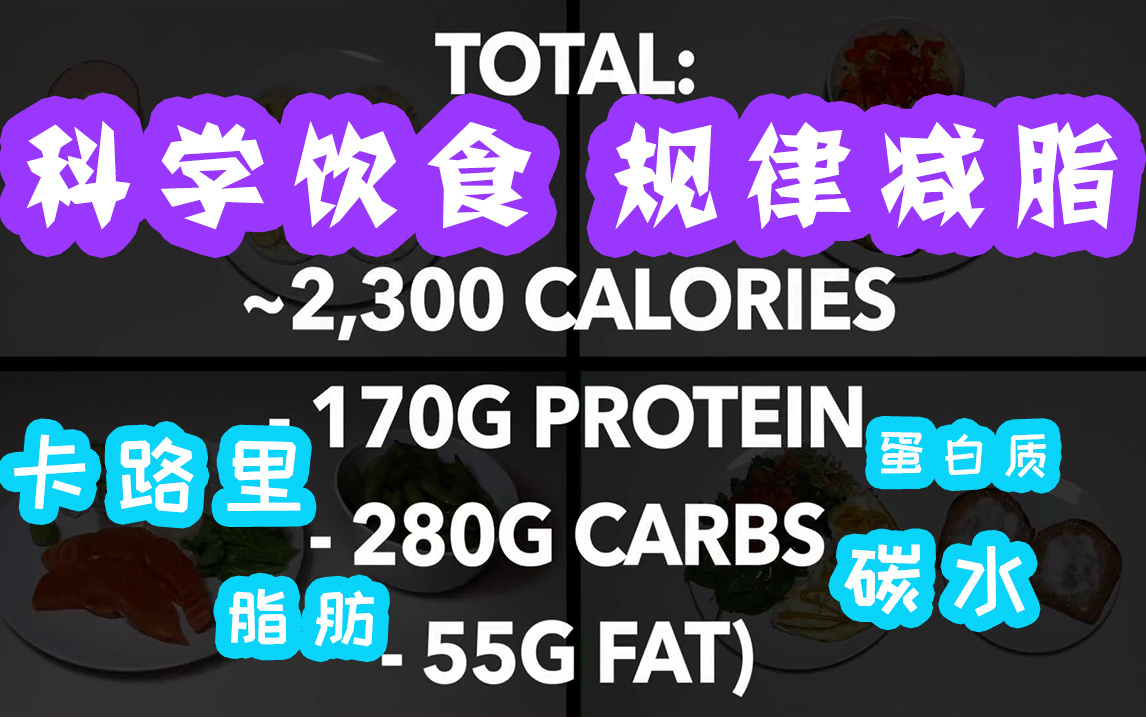 【医学营养】减脂的最佳科学饮食,帮助你合理膳食,塑造最佳BMI