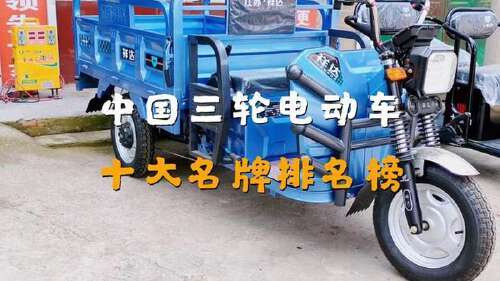 十大三轮电动车品牌实力对决:谁才是真正的载重之王?