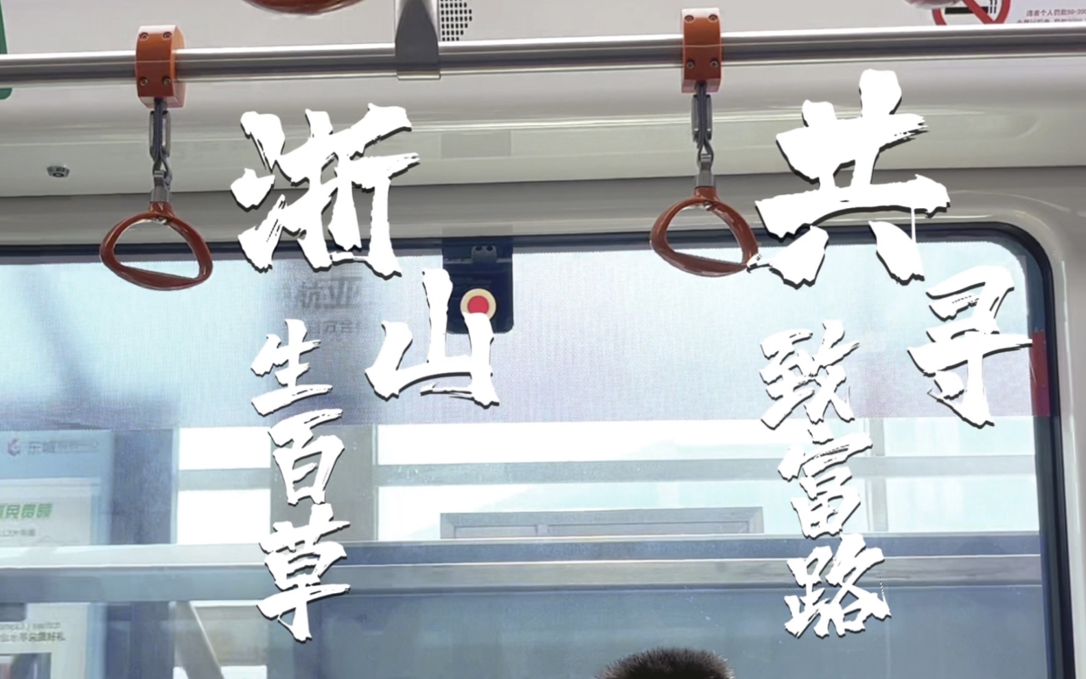 大学生社会实践活动—凝聚青春力量,助力共同富裕。浙山生百草,共寻...