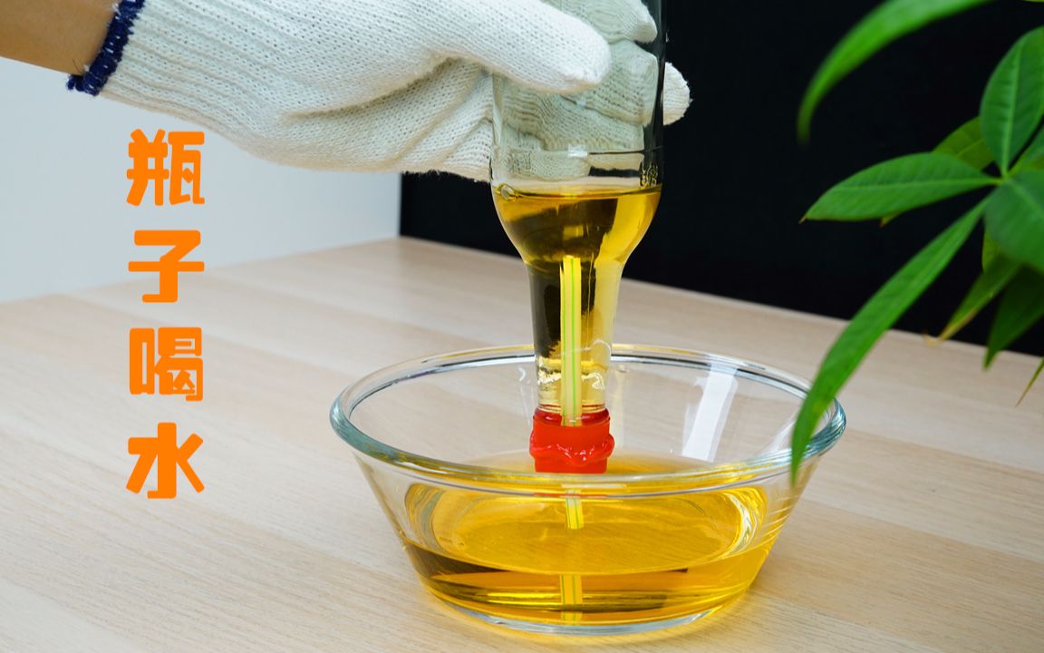 魔力科学小实验,倒扣水中的瓶子会吸水究竟啥原理