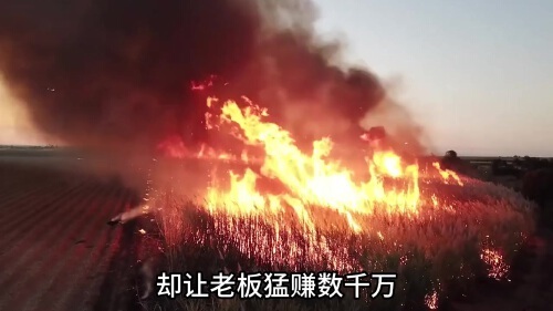 秋冬就要来上一碗热气腾腾的冰糖烤梨