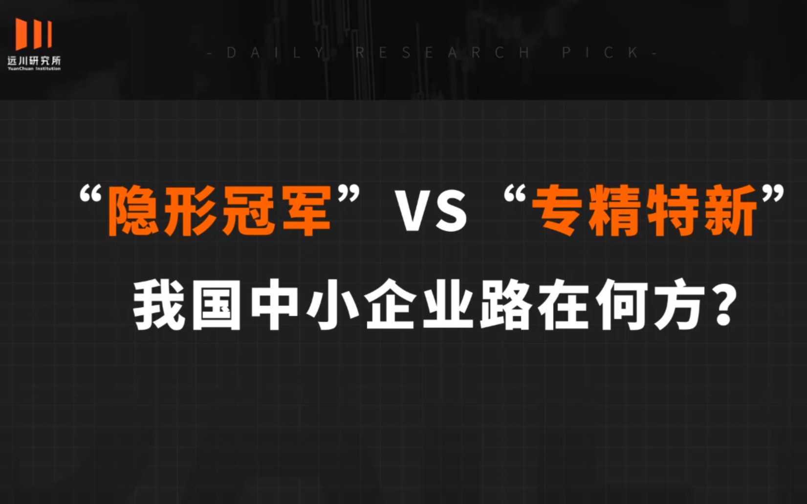 106_“隐形冠军”VS“专精特新”,我国中小企业路在何方?