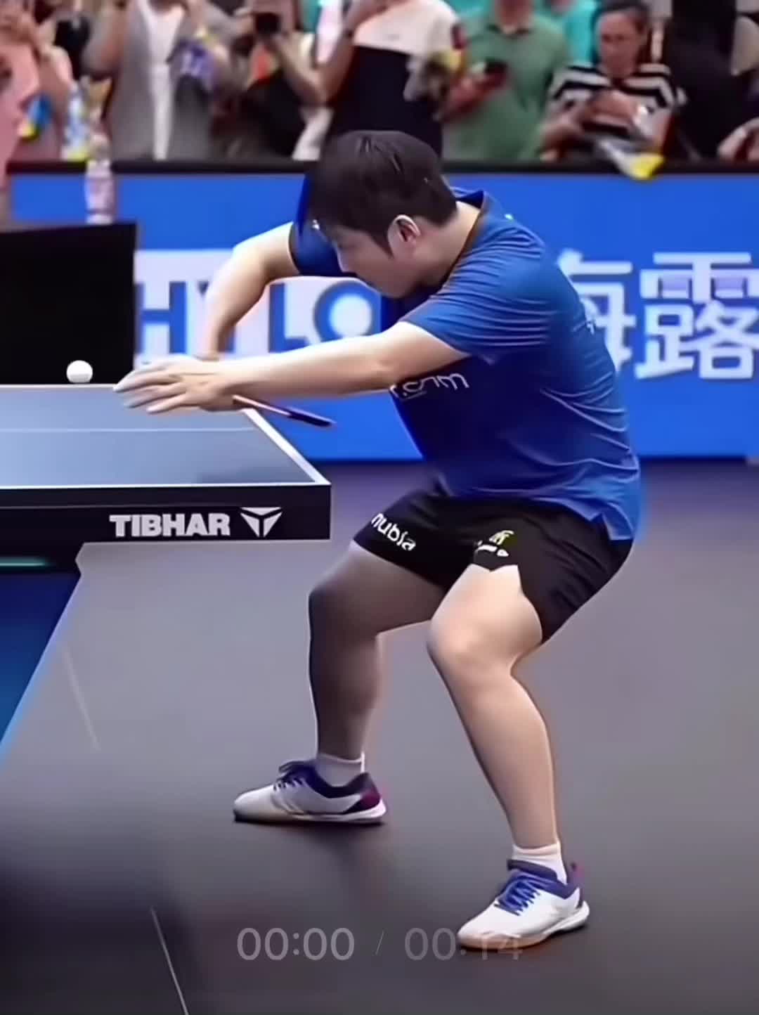 沉浸式体验樊振东拉球动作#樊振东 #樊振东加油 #樊振东拉球 #乒乓球...