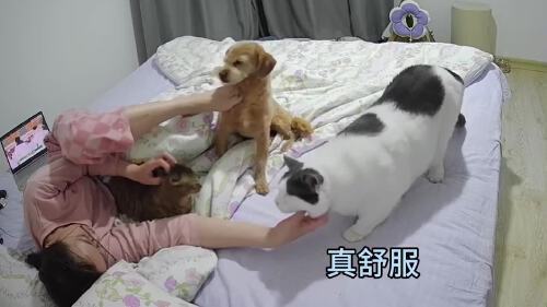 痒到灵魂出窍!今日份挠痒痒挑战,看你能忍到第几秒?