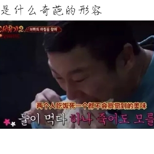 每天要爱小鲨鱼多一点 