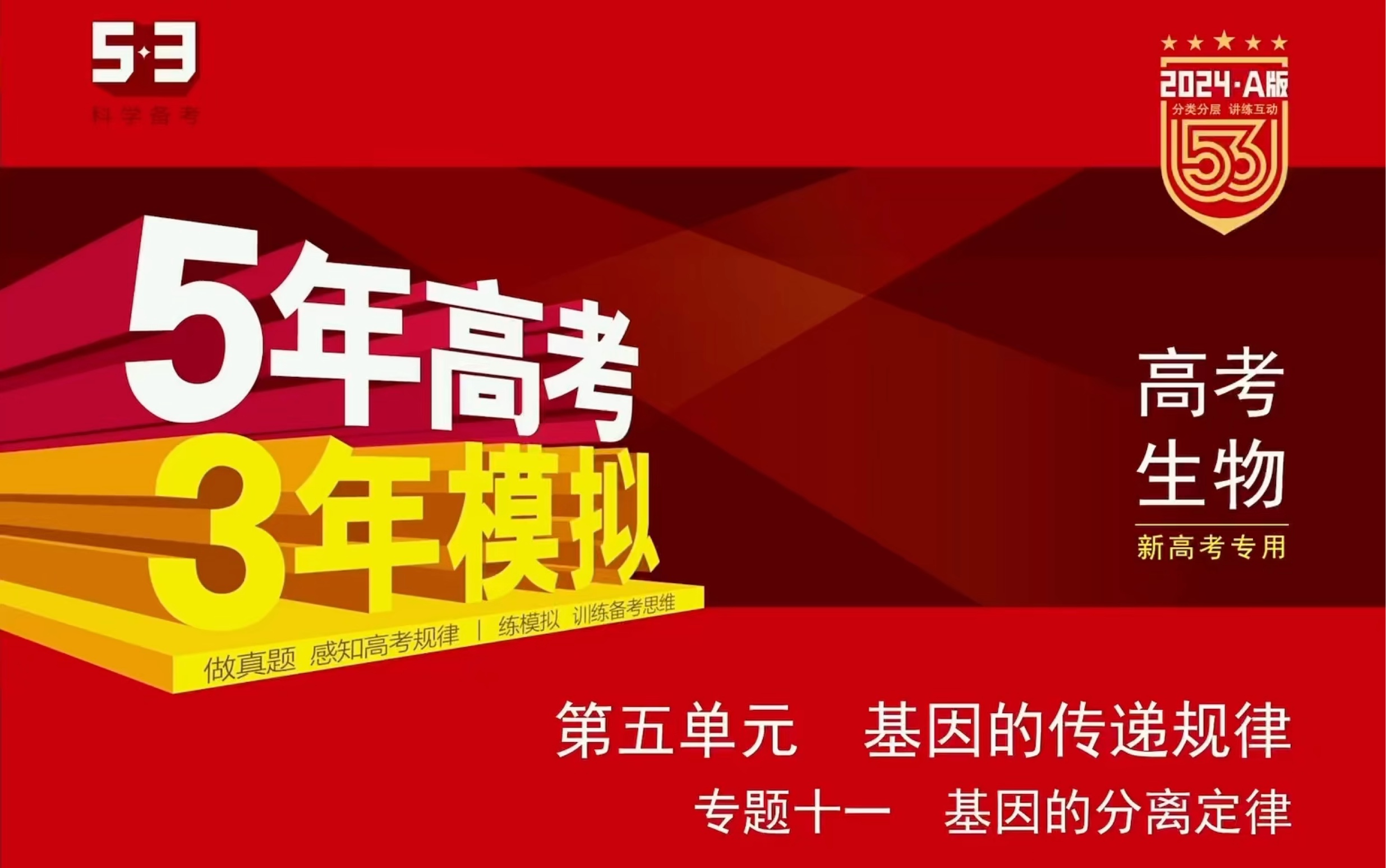 ...模拟》2024高考生物视频讲解课 专题十一 基因的分离定律(3年模拟篇)