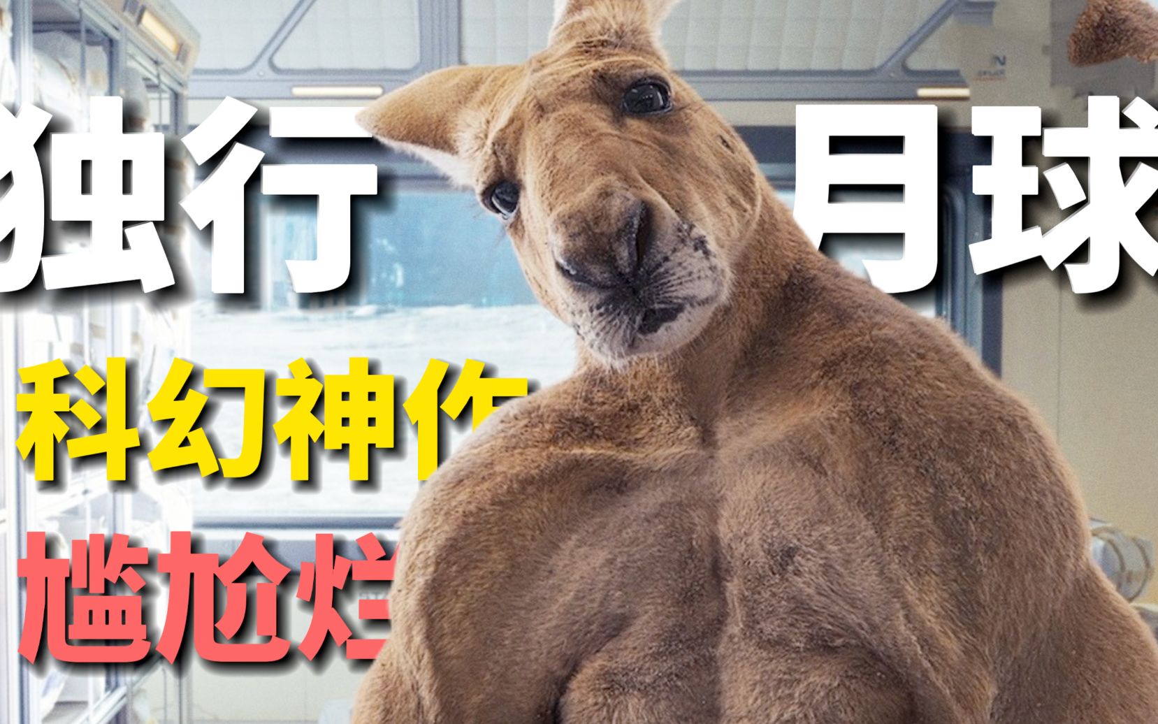 《独行月球》毒舌影评:科幻神作?还是沈腾都救不了的奇葩烂片?