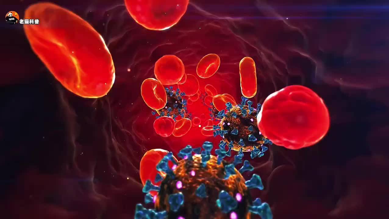 来自HIV病毒的自述