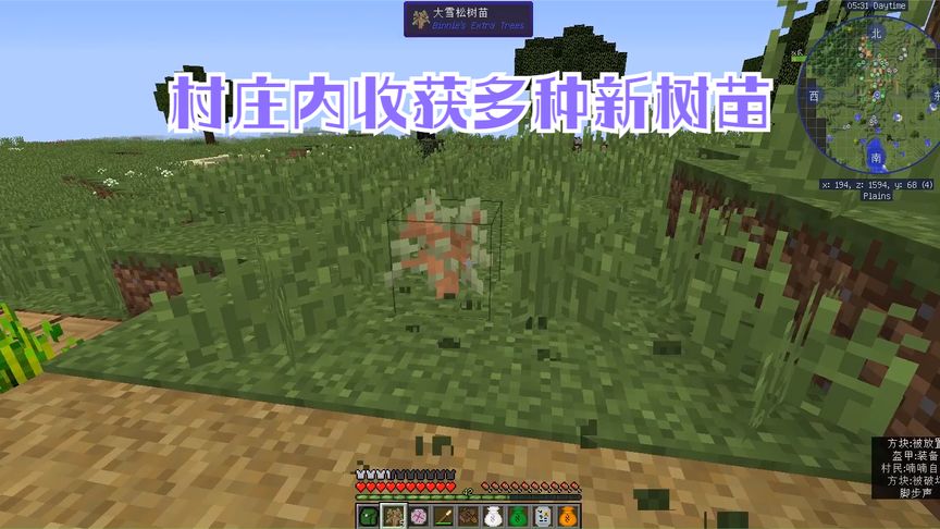 我的世界林业50:树木篇4:变异树苗无进展,只能到外面搜寻