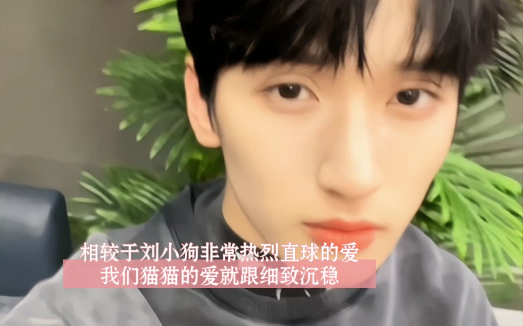 【文严文】严小猫的爱很细致但也很爱刘小狗