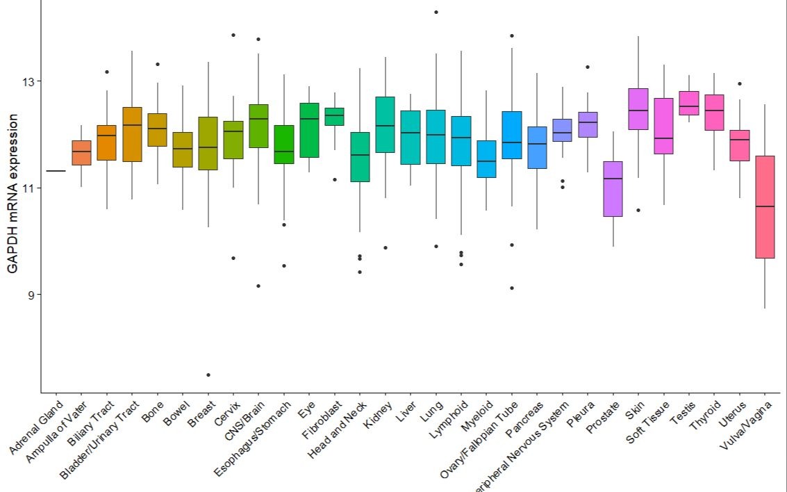CCLE细胞数据R语言可视化及相关性分析(mRNA&拷贝数变异&蛋白)