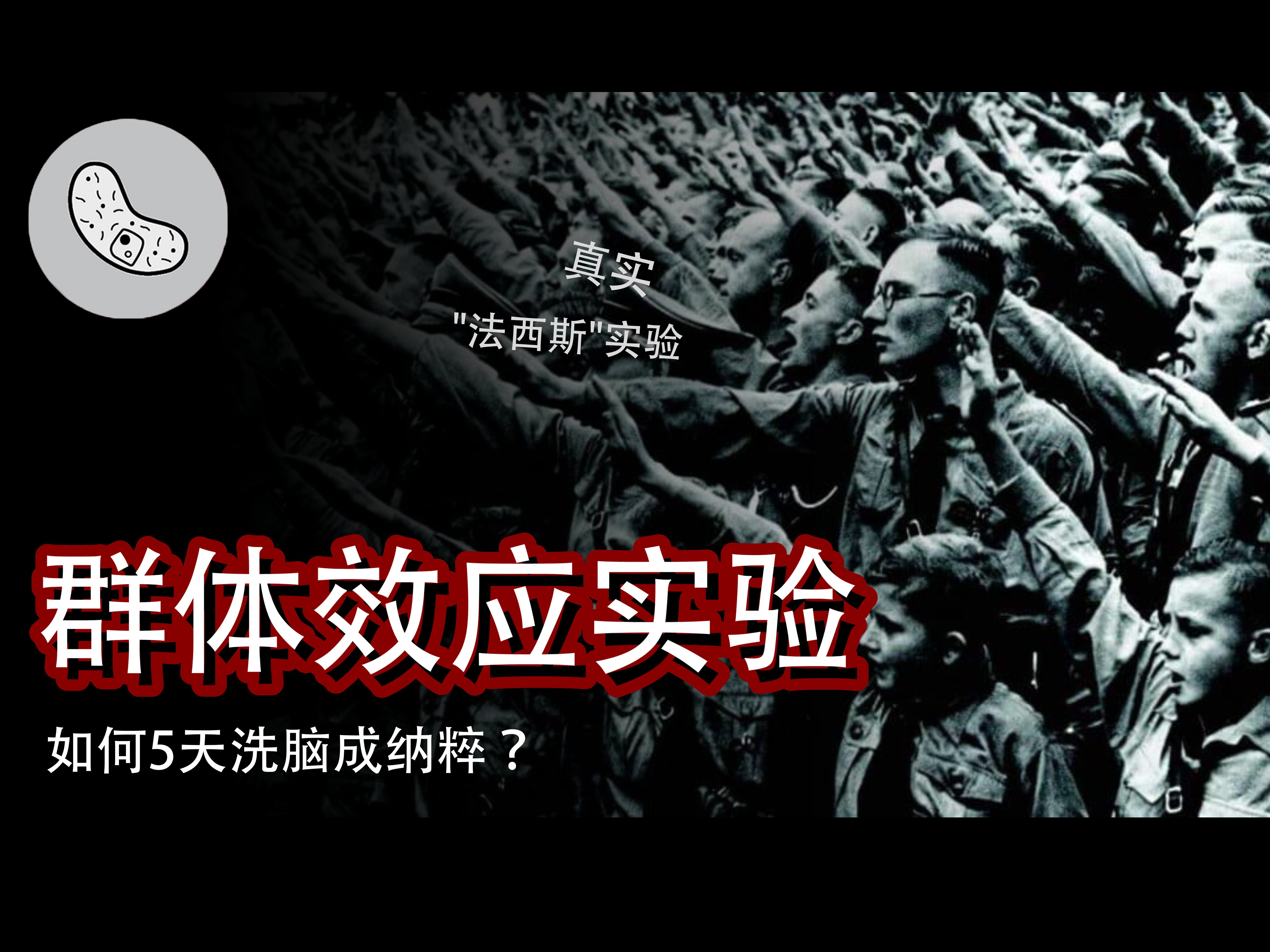 【震惊】真实法西斯实验,5天洗脑成纳粹?【灰细胞】