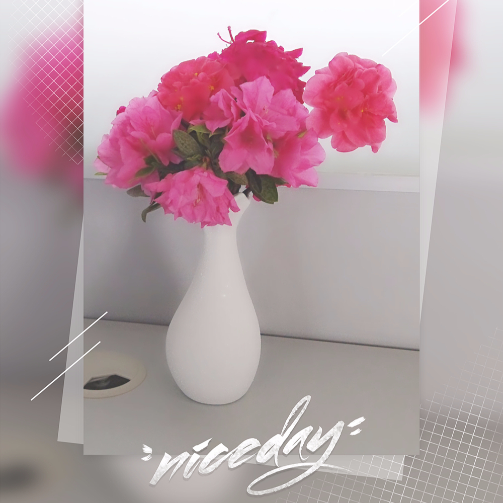 童一芸 