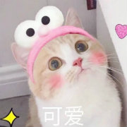 独立的雨炎炎 