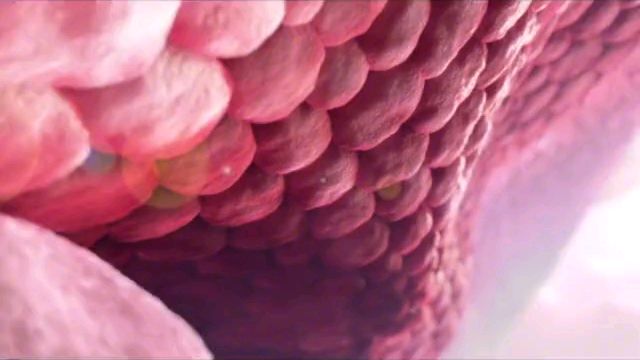 动画演示－病毒在细胞中的繁殖过程