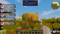 ※我的世界※精灵宝可梦ep5突破极限挑战五十级宝可梦