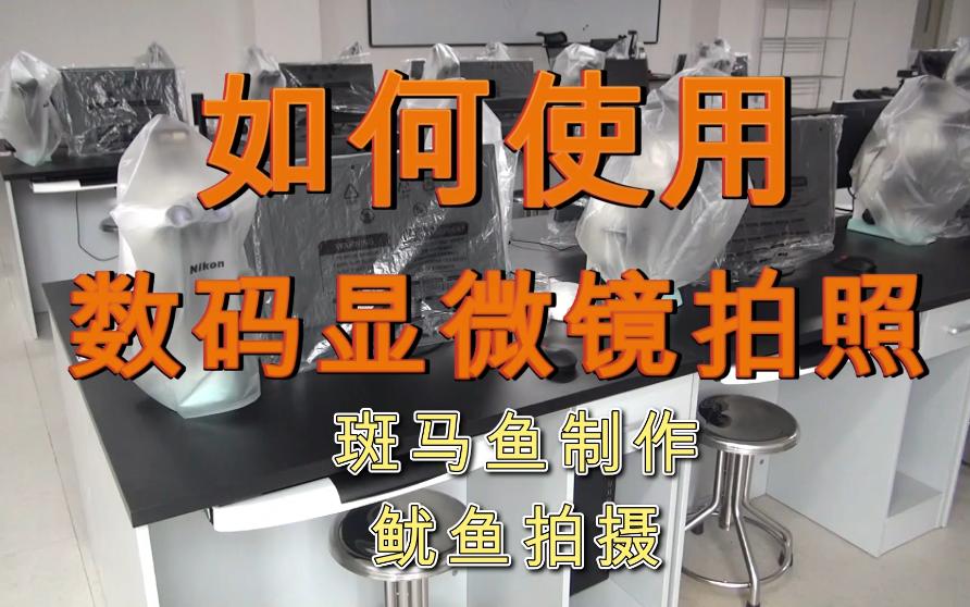如何使用数码显微镜拍照-组织切片观察-医学实验入门