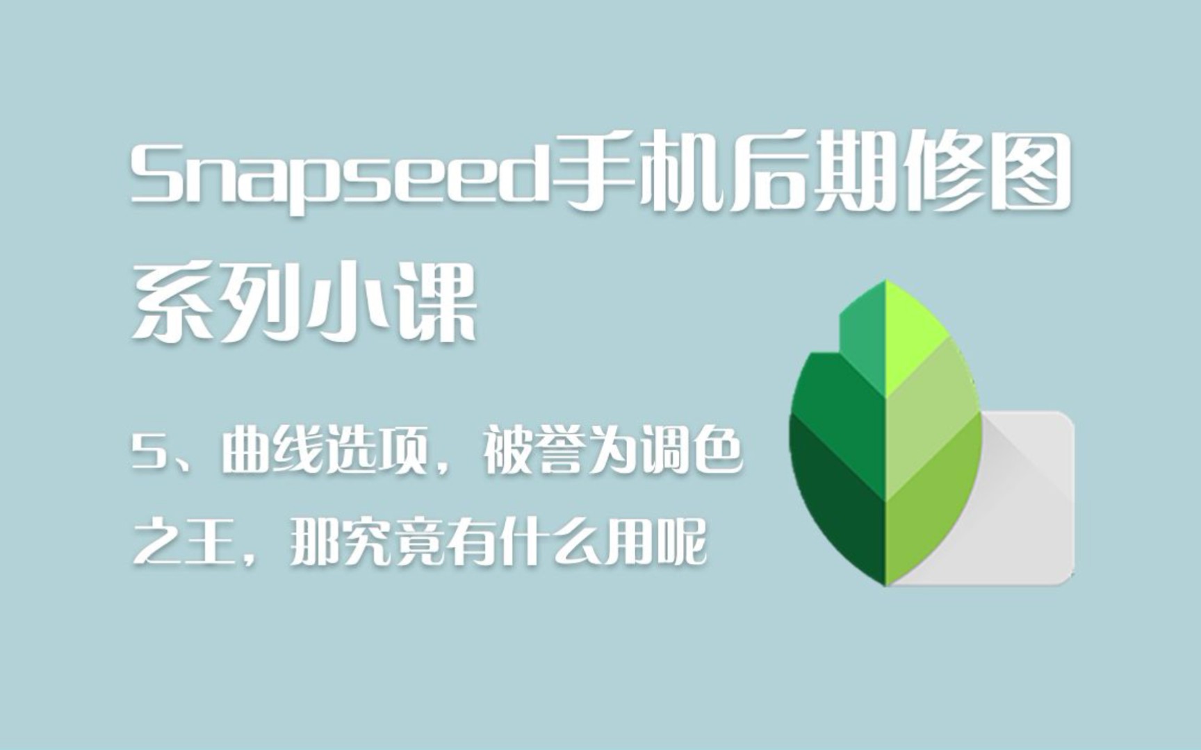 Snapseed曲线工具使用教程 手机修图系列课程第5课 小白学习留步