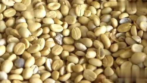 咖啡小白必看!5种超简单自制咖啡,在家秒变咖啡馆