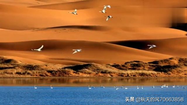佛曲《佛渡缘》——闭上眼跪拜在佛前，求佛渡我心中的杂念！