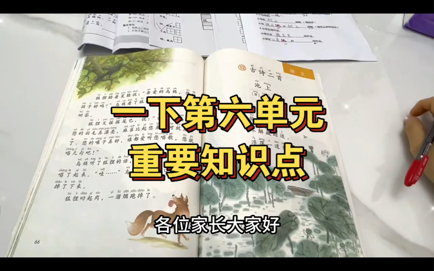 一年级语文下册/第六单元复习方向。第六单元的重要语文知识非常多!...