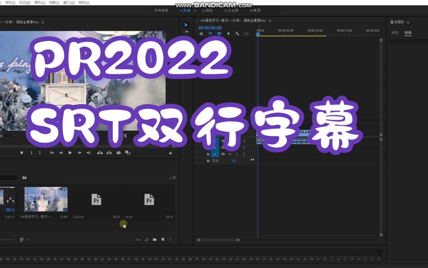 PR2022怎么导入双行字幕