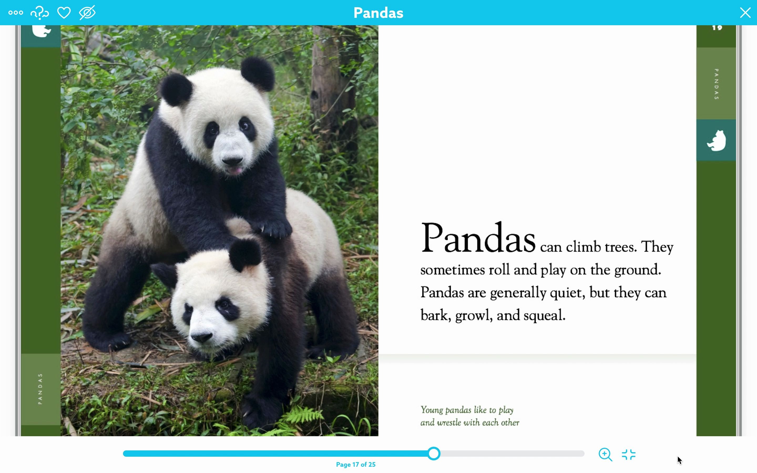 Amazing Animals Pandas - 圈哥英文童书阅读