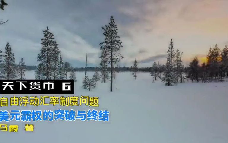 006《天下货币》自由浮动汇率制度问题 读书